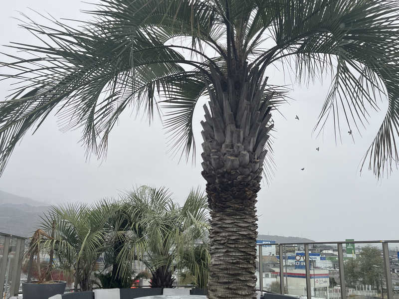 UU ueda ユーユーウエダ[上田市]のサ活（サウナ記録・口コミ感想）一覧 - サウナイキタイ