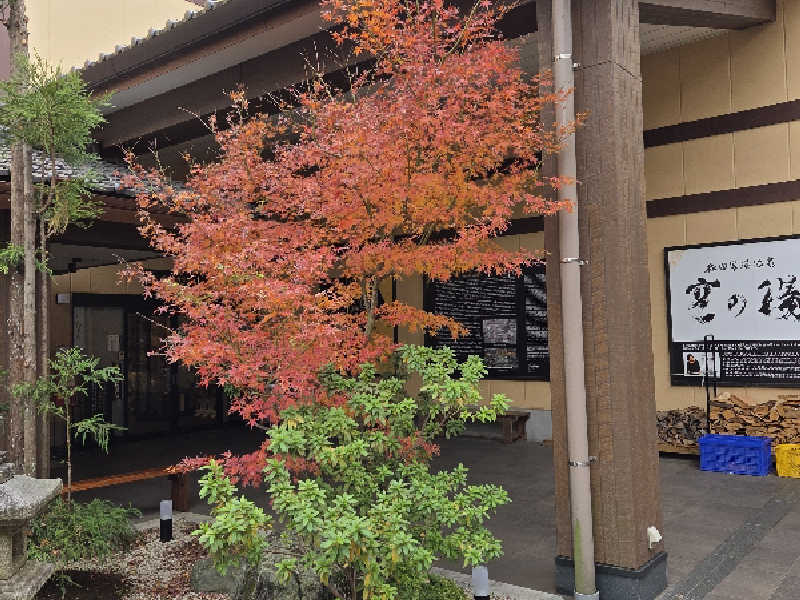 成田空港温泉 空の湯[山武郡芝山町]のサ活（サウナ記録・口コミ感想）一覧 - サウナイキタイ