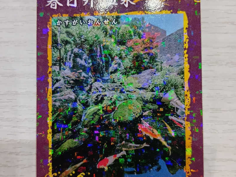 春日井温泉[春日井市]のサ活（サウナ記録・口コミ感想）一覧 - サウナイキタイ